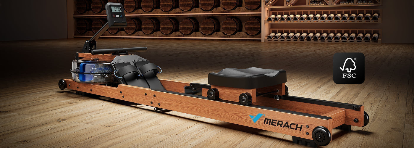 7 Types of Rowing Machines Compared: Which is Best for You
